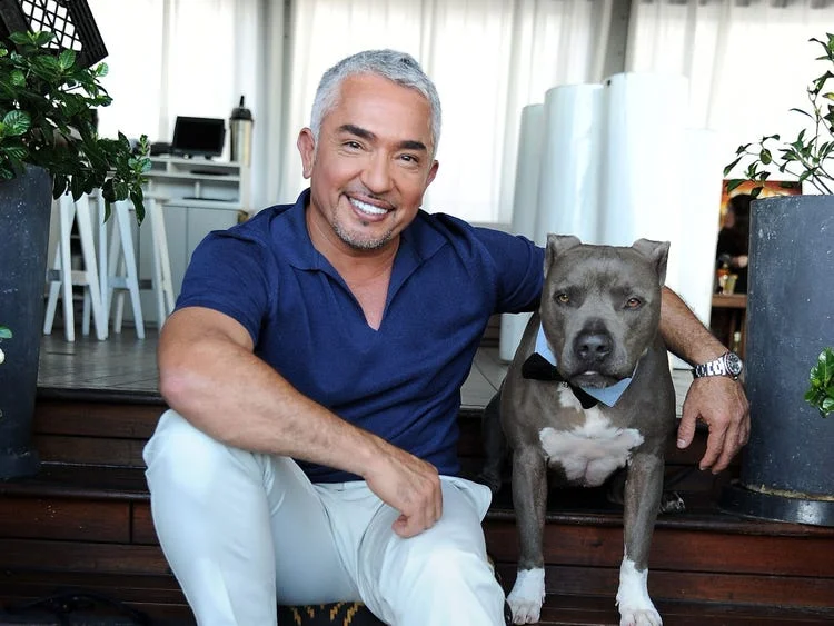 Cesar Millan Net Worth, Ex-wife, Girlfriend And Pitbull Attacks - ABTC