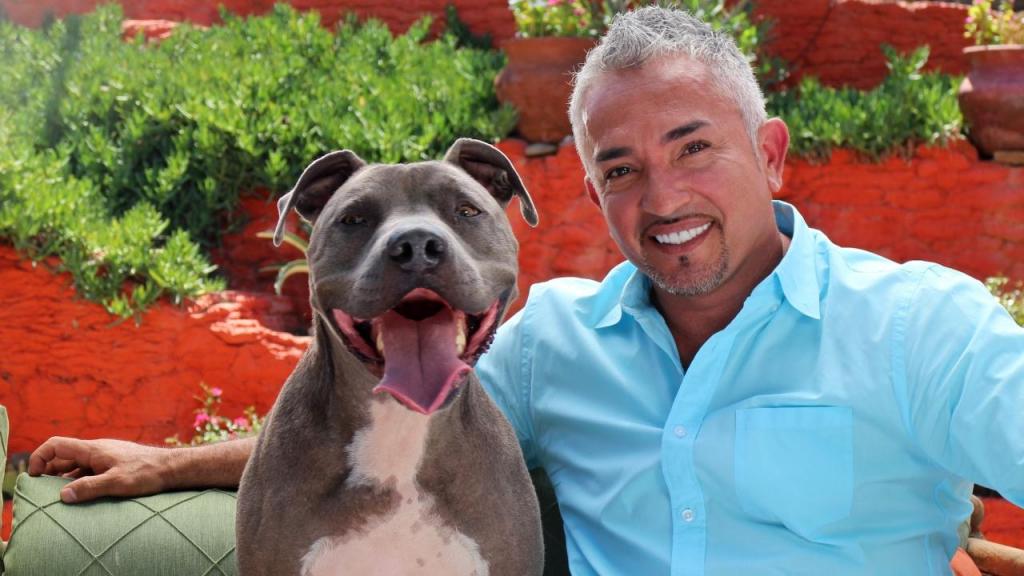 Cesar Millan Net Worth, Ex-wife, Girlfriend And Pitbull Attacks - ABTC
