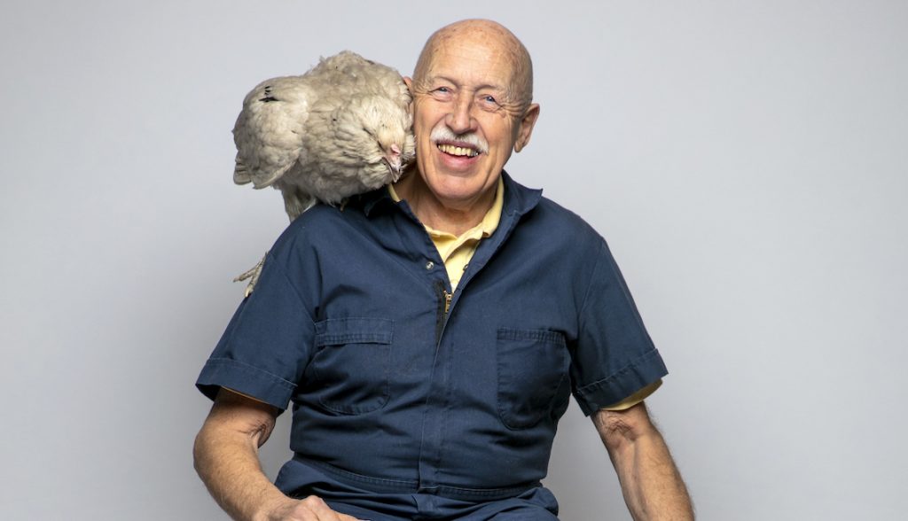 What happened to Dr Brenda on Dr Pol? - ABTC