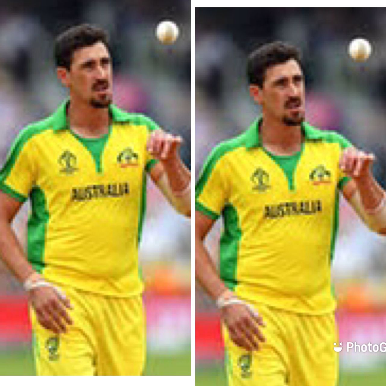 Mitchell Starc Wife: Who is Alyssa Healy? - ABTC