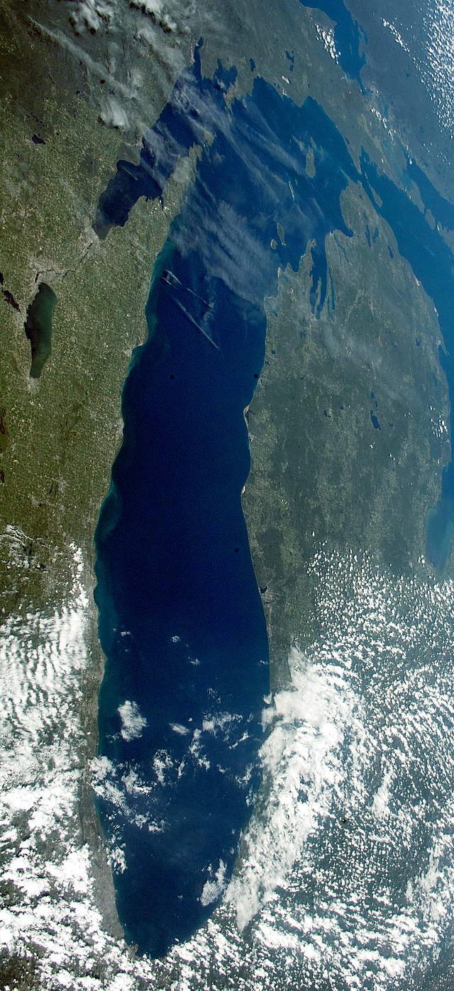 What is the top predator in Lake Michigan? What is the biggest predator ...
