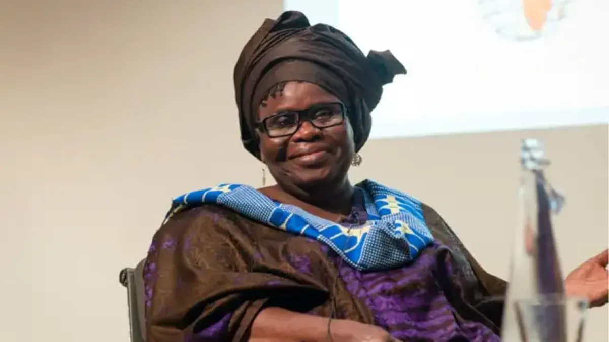 What are the themes in changes by Ama Ata Aidoo? What is the summary of Aidoo's changes? - ABTC