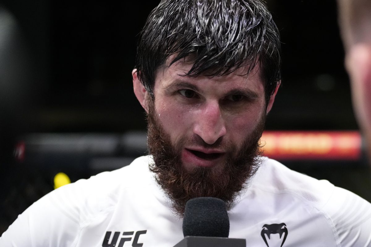 What happened to Magomed Mustafaev? - ABTC